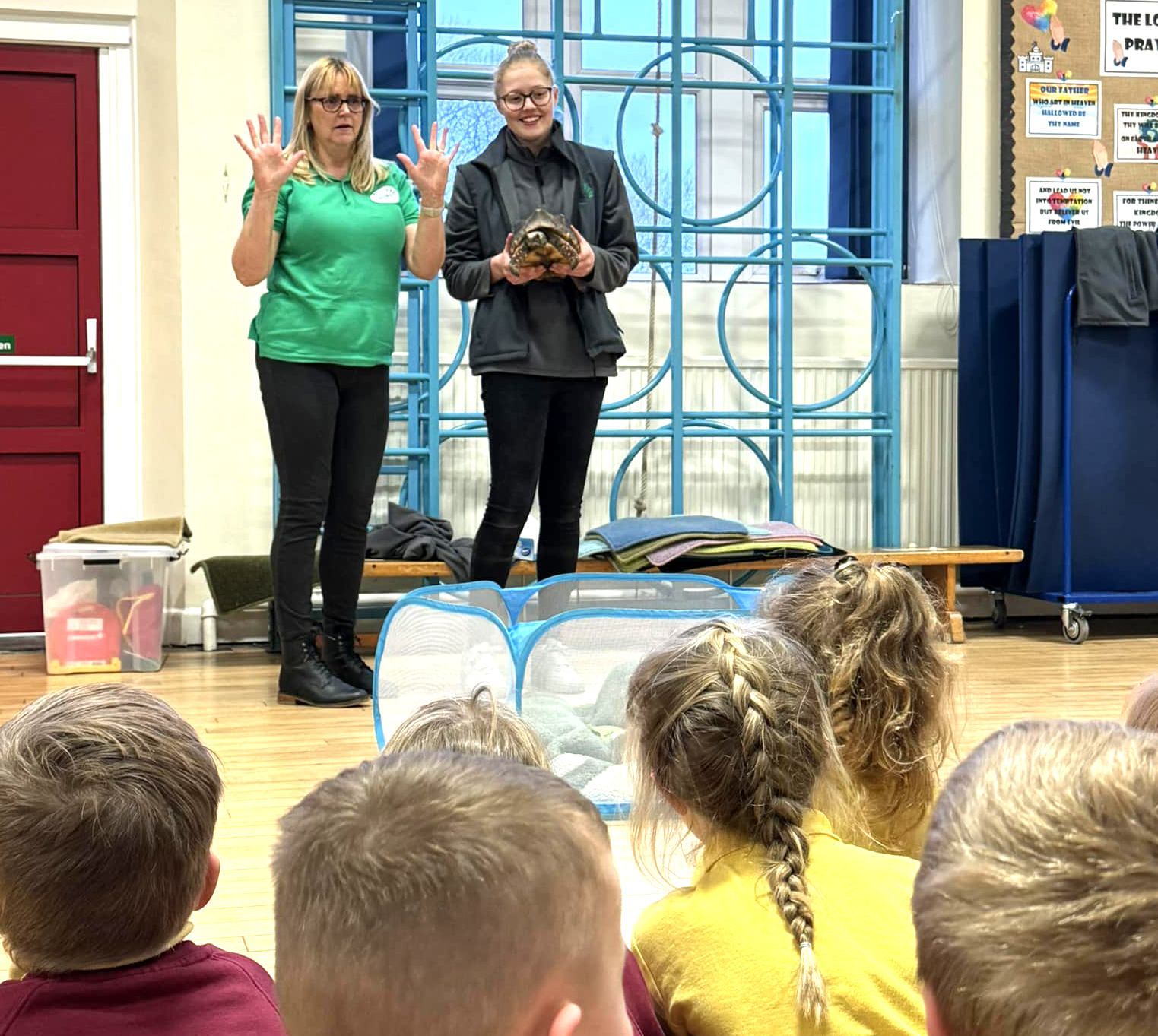 School Visits - Emily's Mini Farm